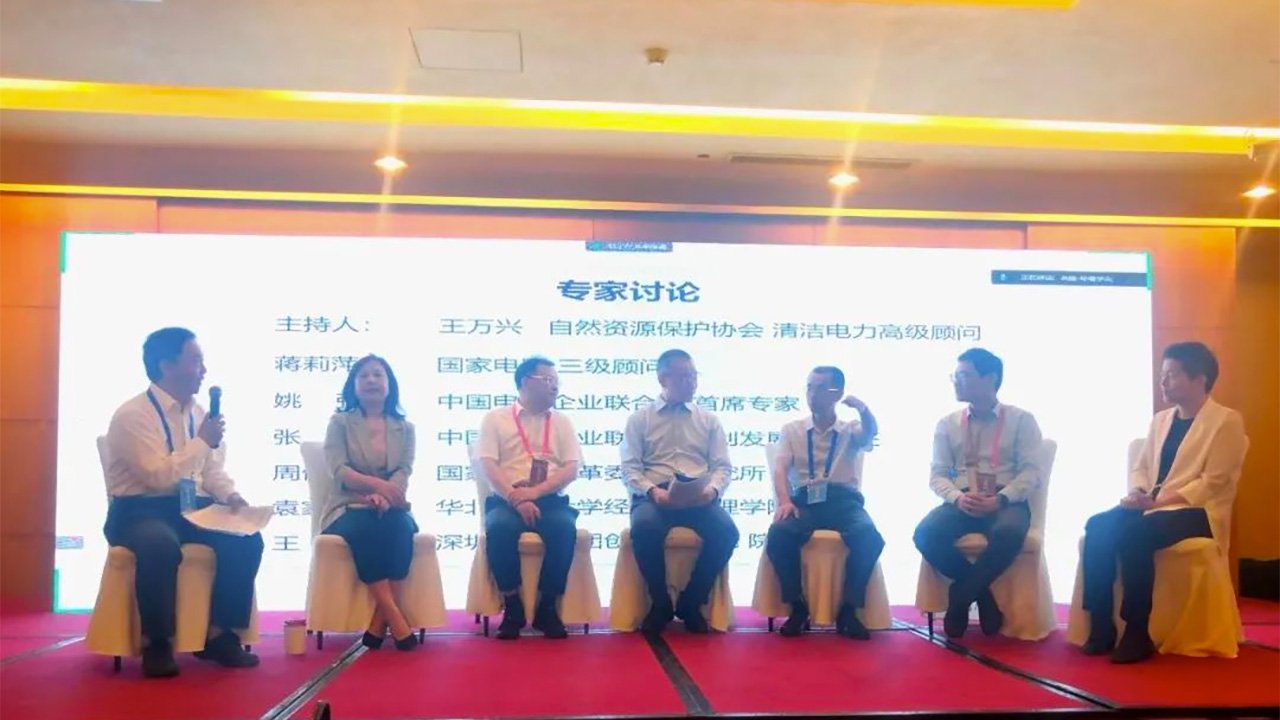 亚洲低碳技术和创新大会分论坛：新型电力系统与可再生能源-自然资源保护协会