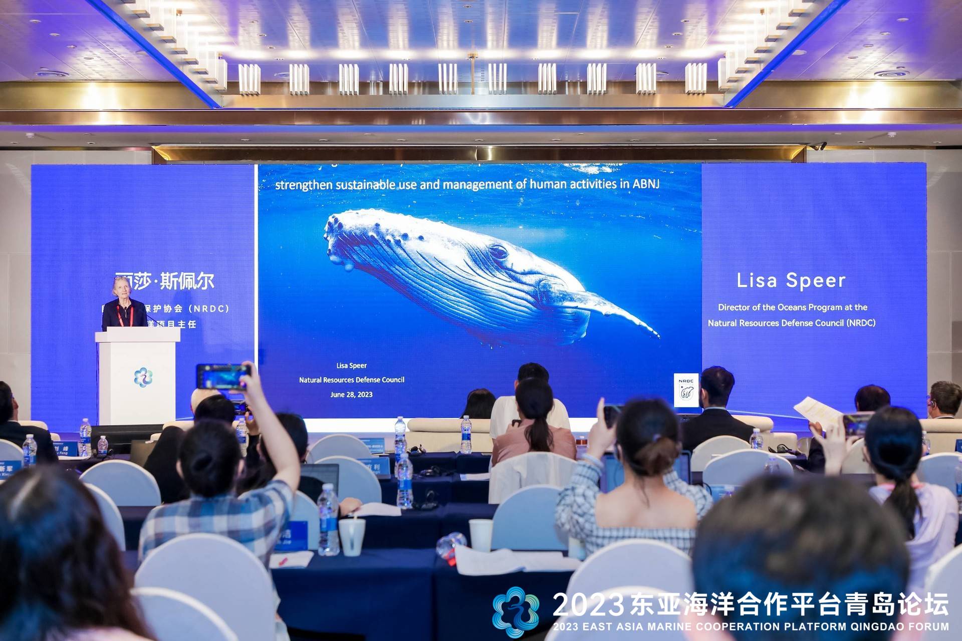 自然资源保护协会